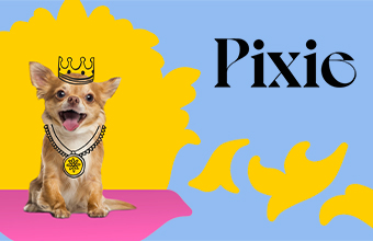 Sampleo - Pixie - Food For Your Canine Majesty